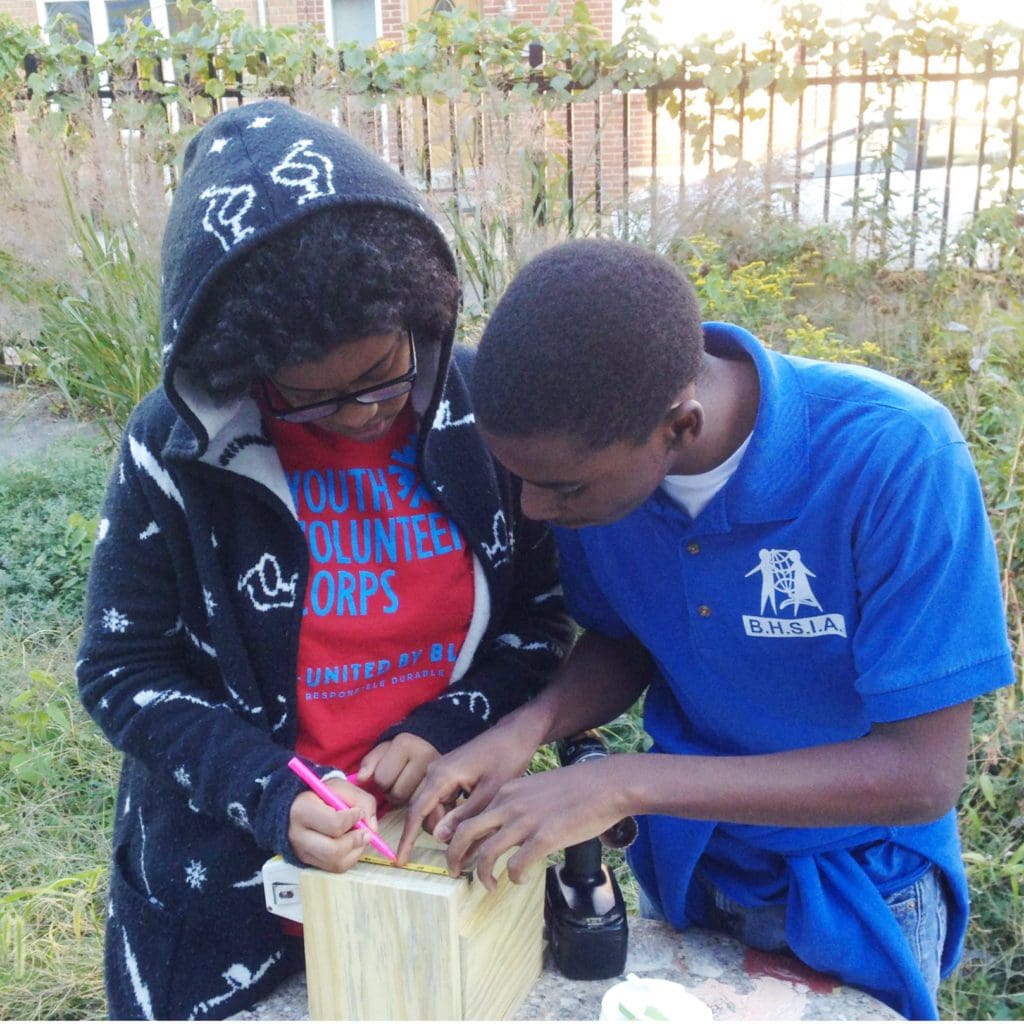 Youth Volunteer Corps (YVC) - A network of organizations committed to ...