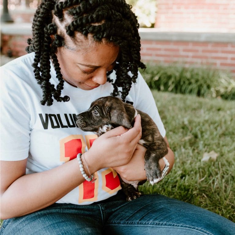 Youth Volunteer Corps (YVC) - A network of organizations committed to ...